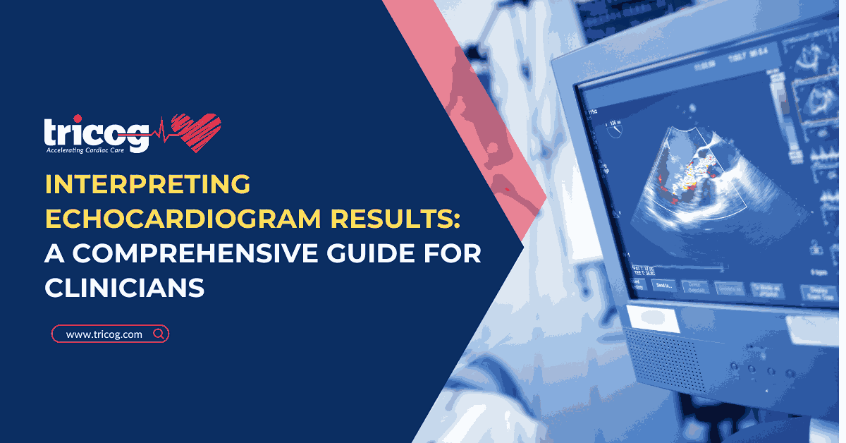 Interpreting Echocardiogram Results: A Comprehensive Guide For ...